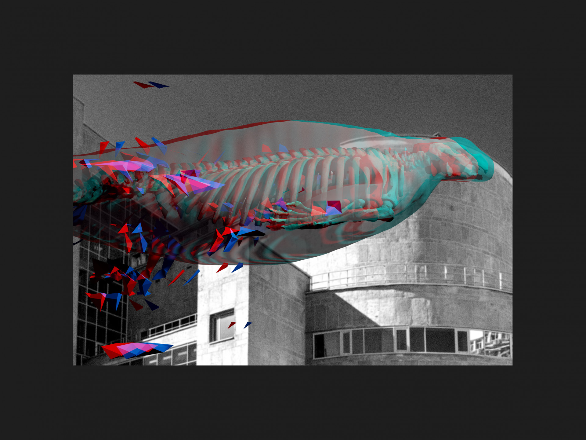 Выставка Аллы Мезенцевой NON HUMAN ZONE, MSCA Gallery - Cube.Moscow